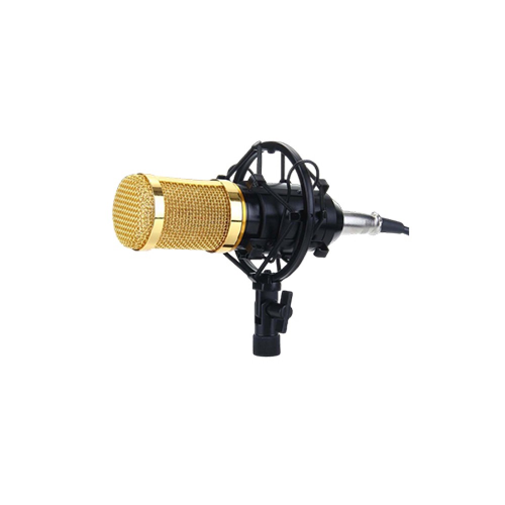 BMG BM800 CONDENSER MICROPHONE Price In BD